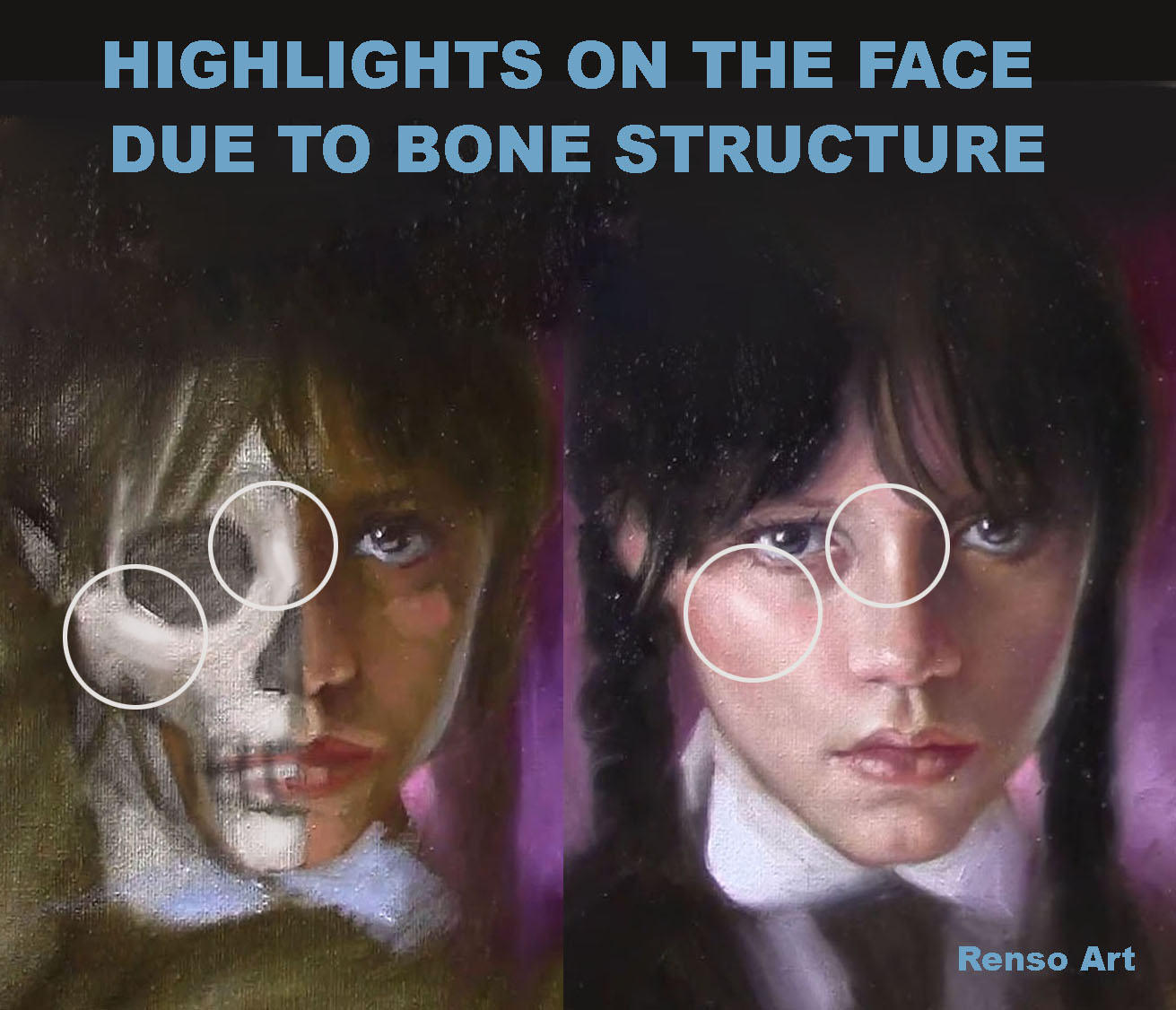 Facial Highlights and Bone Structure: A Guide for Artists - Renso Art